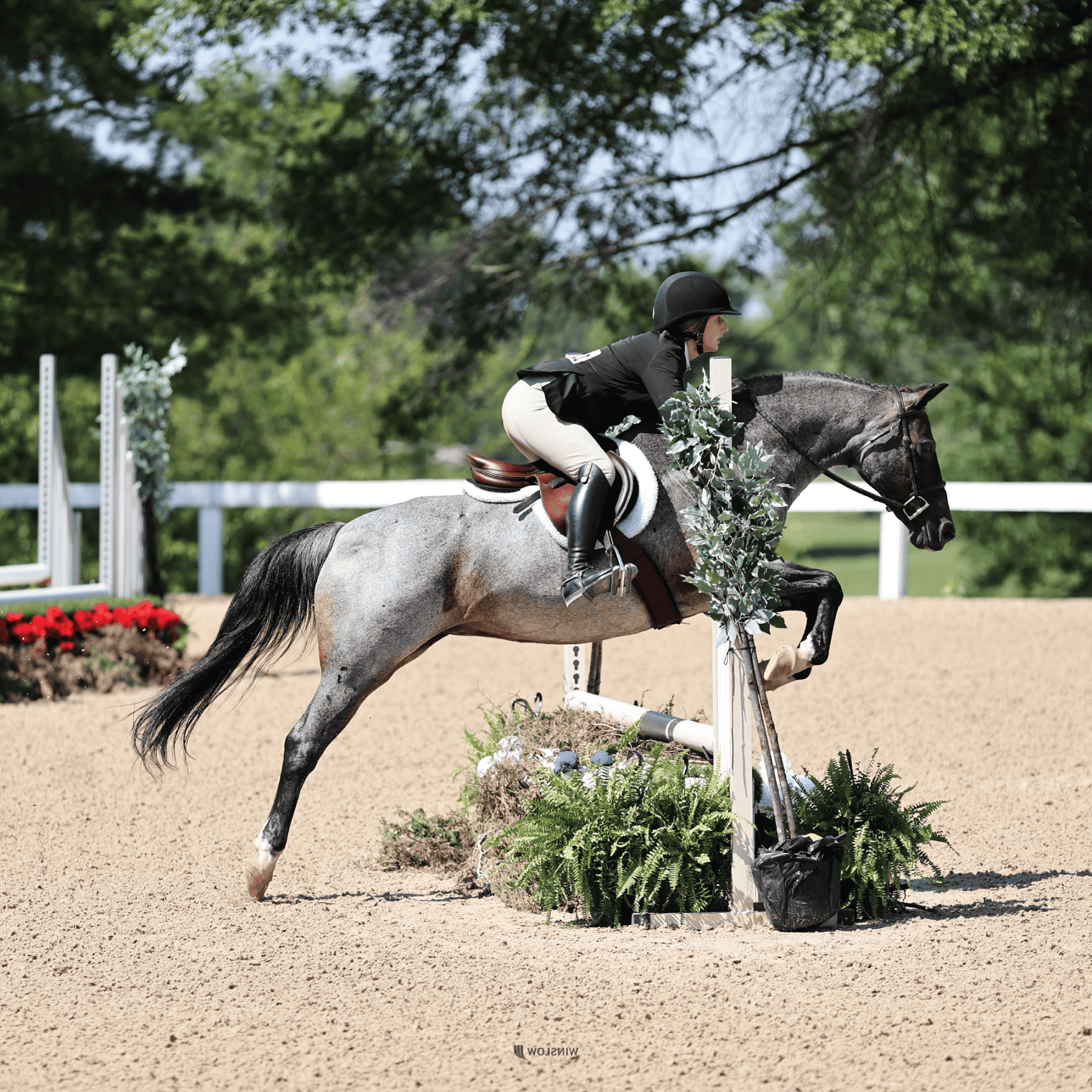 Home - Kiger Insurance